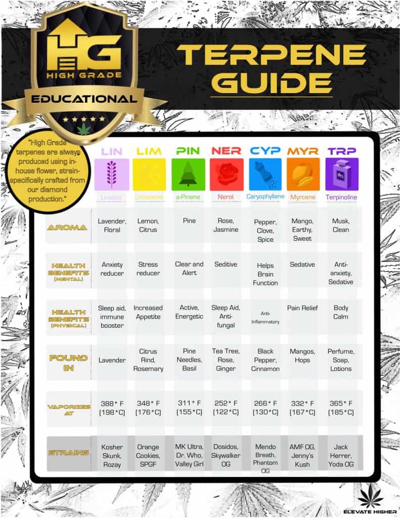 Terpene Guide High Grade