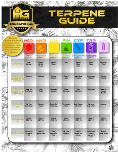 Full Terp Guide V2 | High Grade